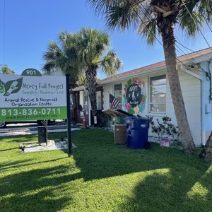 MERCY FULL PROJECT - 901 N Fremont Ave, Tampa, Florida - Pet Adoption ...