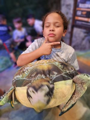 BASS PRO SHOPS - Updated December 2025 - 309 Photos & 78 Reviews ...