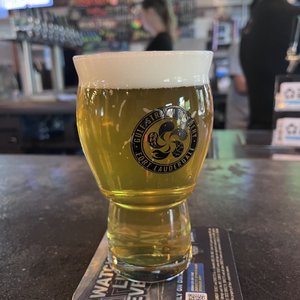 GULF STREAM BREWING - 367 Photos & 145 Reviews - 1105 NE 13th St, Fort ...