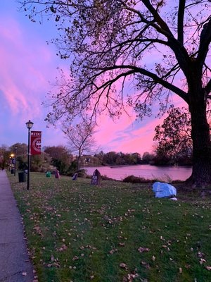 FAIRLEIGH DICKINSON UNIVERSITY - Updated July 2025 - 35 Photos & 13 ...