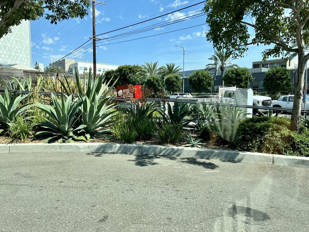 Riot Games, Los Angeles | Roadtrippers