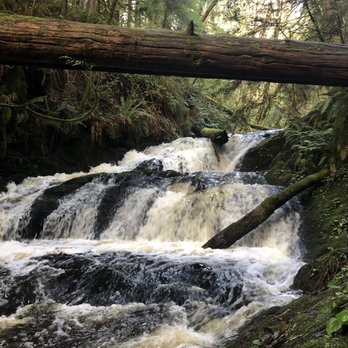 PORT LUDLOW TRAILS - Updated September 2025 - 30 Photos - 74 Breaker Ln ...