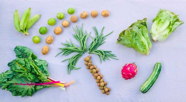 FARM LINK HAWAII - Updated June 2025 - 27 Photos & 16 Reviews - 743 ...