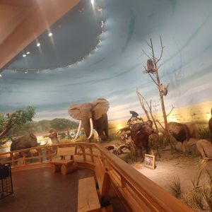 FLEET FARM - Updated August 2025 - 11 Photos & 13 Reviews - 3815 W ...