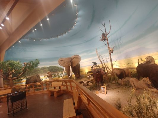 CABELA’S - Updated June 2025 - 171 Photos & 90 Reviews - 1 Cabela Way ...