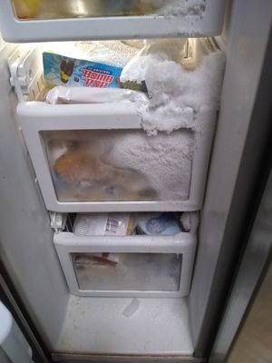 ASTRO APPLIANCE SERVICE - Updated December 2025 - 17 Photos & 132 ...