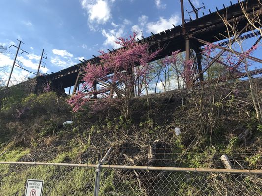 SAFE HARBOR DAM - Updated December 2025 - 1 Powerhouse Rd, Conestoga ...