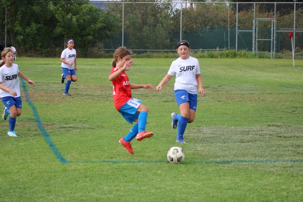 ALBION SC - Updated September 2024 - 16 Photos & 35 Reviews - 2525 ...