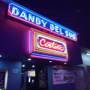 DANDY DEL SUR - Updated November 2025 - 175 Photos & 85 Reviews ...