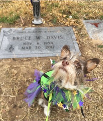 ASSUMPTION CEMETERY - CHAPEL & MAUSOLEUM - Updated December 2025 - 55 ...