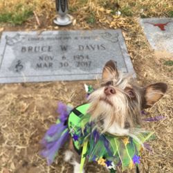 ASSUMPTION CEMETERY - CHAPEL & MAUSOLEUM - 54 Photos & 22 Reviews ...