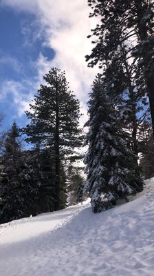 PALI INSTITUTE - 137 Photos & 46 Reviews - Specialty Schools - 30778 CA ...