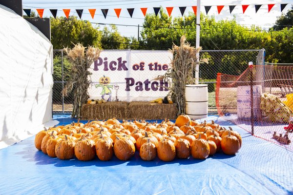 ABC TREE FARMS & PICK OF THE PATCH PUMPKINS - Updated November 2025 ...