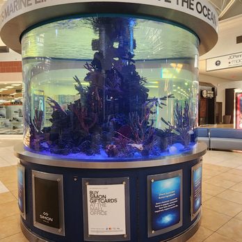 CORAL SQUARE - Updated December 2025 - 150 Photos & 101 Reviews - 9469 ...