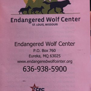 ENDANGERED WOLF CENTER - 28 Photos & 30 Reviews - 6750 Tyson Valley Rd ...