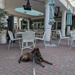 COLLINS QUARTER AT FORSYTH - Updated December 2025 - 1246 Photos & 701 ...