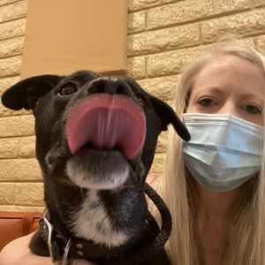 NORTH PHOENIX ANIMAL CLINIC - Updated July 2025 - 50 Photos & 132 ...