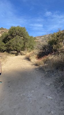 COBB ESTATE - Updated January 2025 - 87 Photos & 16 Reviews - 5400 N ...