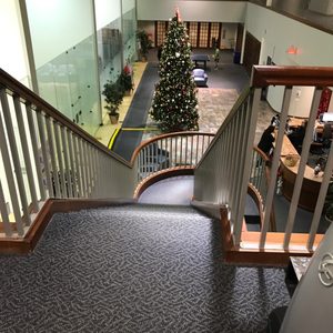 D-BAT - ADDISON - 26 Reviews - 15605 Wright Bros Dr, Addison, Texas ...