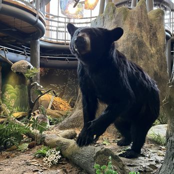 ROBINSON NATURE CENTER - Updated August 2025 - 98 Photos & 26 Reviews ...