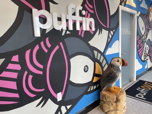 PUFFIN - Updated June 2026 - 19 Reviews - 382 George St, New Brunswick ...