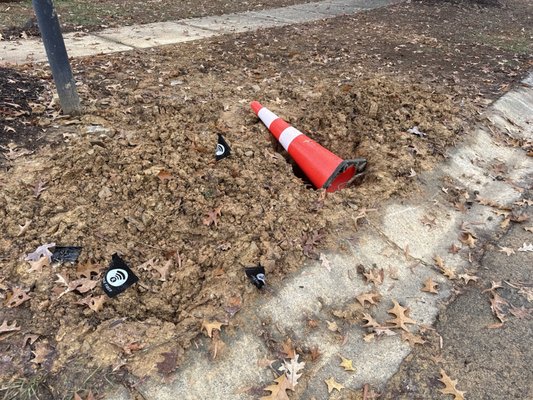 RIPPLE FIBER - Updated December 2025 - 14 Photos & 36 Reviews - 6000 ...