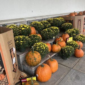 SEABRA FOODS - Updated November 2025 - 15 Reviews - 440 Stafford Rd ...