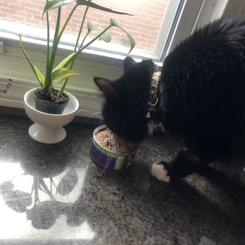 CHUCKANUT VALLEY VETERINARY CLINIC - Updated January 2026 - 12 Photos ...