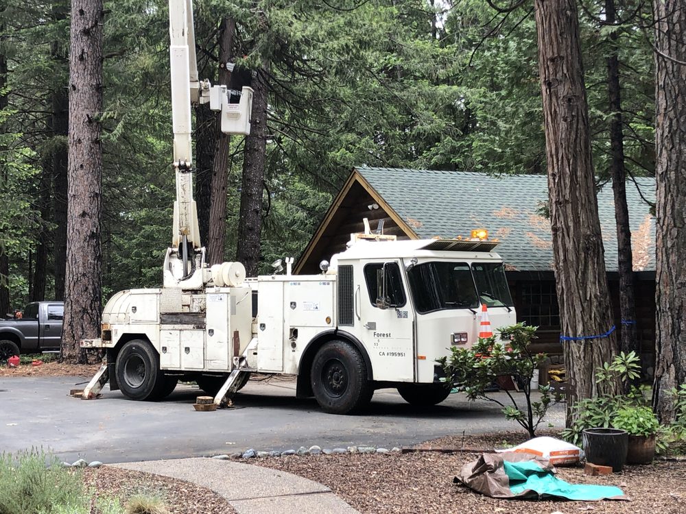 MM REFORESTATION - Updated January 2026 - 3786 Hammonton Smartville Rd ...