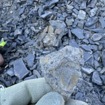 U-DIG FOSSILS - Updated October 2025 - 58 Photos & 31 Reviews - Death ...