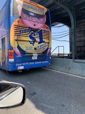 MEGABUS - 77 Photos & 734 Reviews - Washington, District of Columbia ...