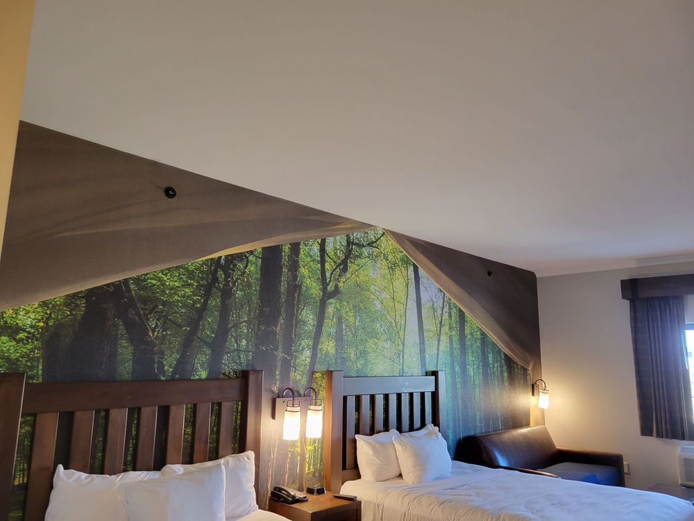 GREAT WOLF LODGE - SCOTTSDALE - Updated May 2024 - 1110 Photos & 525 ...