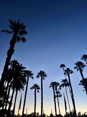 LACY PARK - Updated May 2024 - 740 Photos & 311 Reviews - 1485 Virginia ...