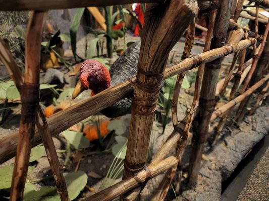 RAUPP MUSEUM - Updated June 2025 - 105 Photos - 901 Dunham Ln, Buffalo ...