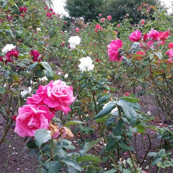 LIBERTY STATION NTC PARK - Updated January 2025 - 612 Photos & 166 ...