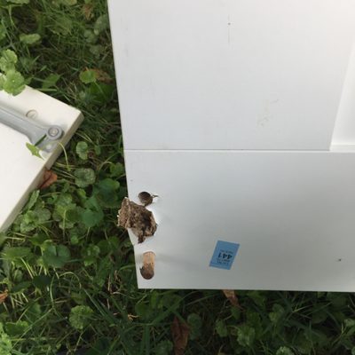 SUDDATH - Updated July 2025 - 27 Photos & 99 Reviews - 2020 South 10th ...