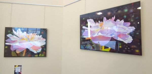 ROCKLIN PUBLIC LIBRARY - Updated October 2025 - 42 Photos & 31 Reviews ...