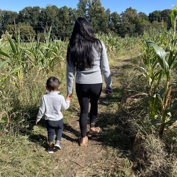 HOLDER HILL FARM - Updated December 2025 - 48 Photos & 15 Reviews ...