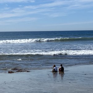 TAMARACK STATE BEACH - 335 Photos & 85 Reviews - 101 Tamarack Ave ...