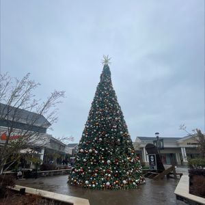 NORFOLK PREMIUM OUTLETS - 399 Photos & 123 Reviews - 1600 Premium ...