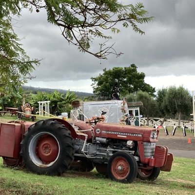 KULA COUNTRY FARMS - Updated March 2025 - 995 Photos & 129 Reviews ...