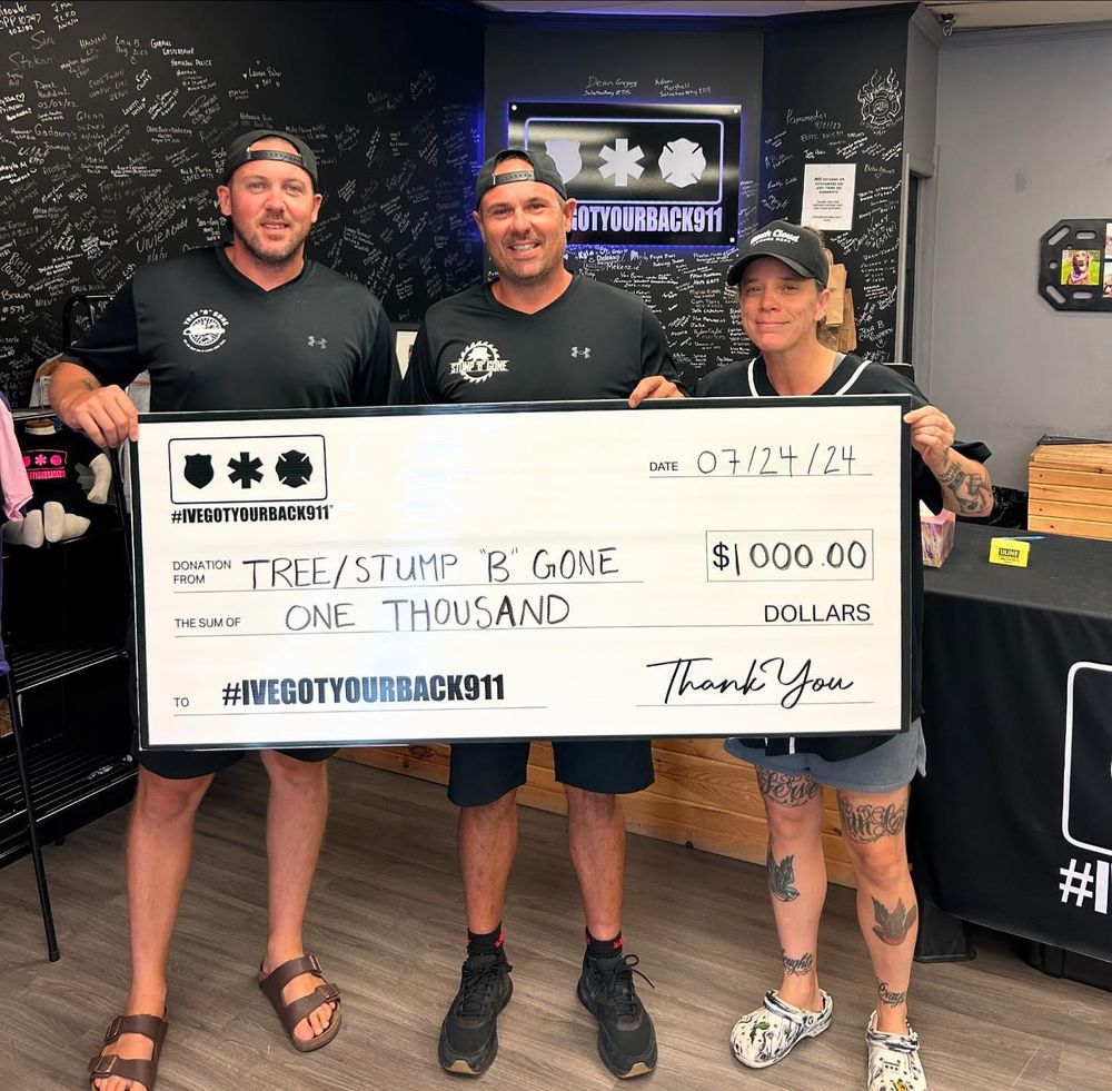 TREE “B” GONE - Updated October 2025 - Request a Quote - 11 Forest ...