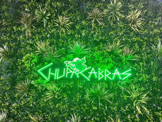 CHUPACABRAS - Updated January 2026 - 14 Photos - Calle Manuel Corchado ...