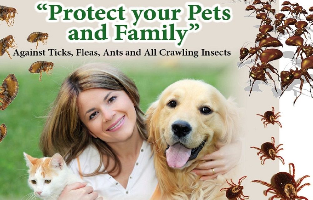 PLANET FRIENDLY PEST CONTROL - Updated March 2026 - Alexandria ...