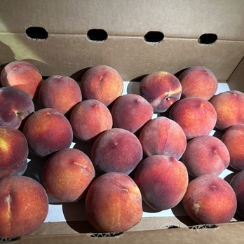 BLOOM RANCH OF ACTON - Updated March 2025 - 101 Photos & 38 Reviews ...