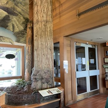 THOMAS H KUCHEL VISITOR CENTER - Updated September 2025 - 137 Photos ...