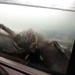 MARISCOS EL VENENO - Updated December 2025 - 107 Photos & 85 Reviews ...