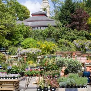 BIRCHEN GROVE GARDEN CENTRE - Updated July 2025 - Birchen Grove, London ...