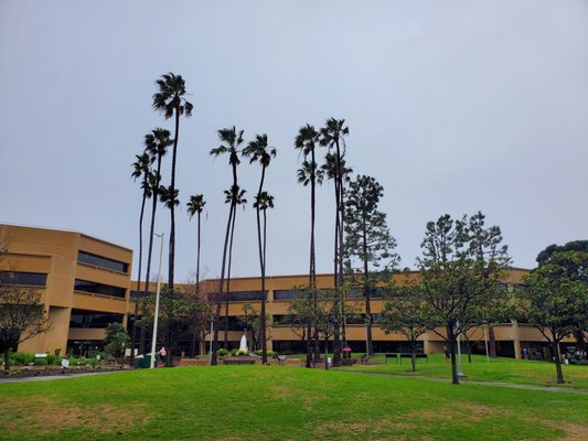 VENTURA COUNTY MEDICAL CENTER - Updated December 2025 - 127 Photos ...