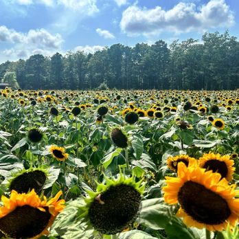 ARGOS FARM - Updated December 2025 - 59 Photos & 47 Reviews - 1250 ...